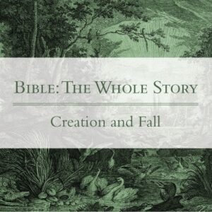 Bible: The Whole Story – Creation and Fall – Gospel in Life